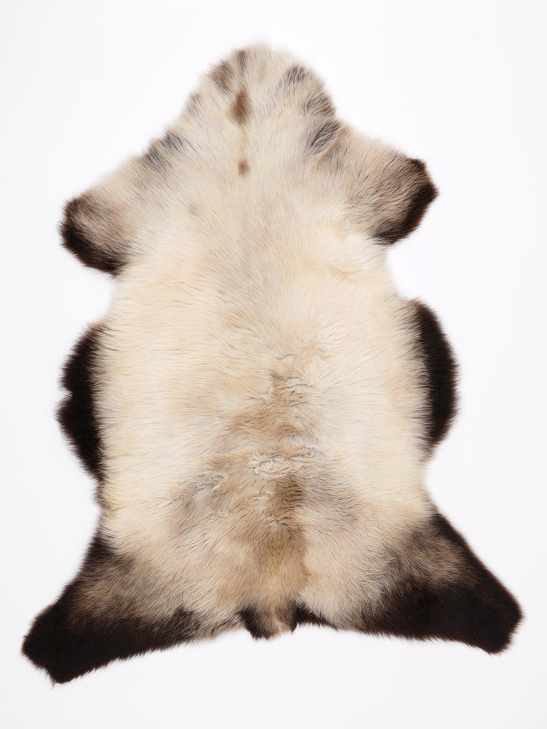 British Multicolour Sheepskin Rug L – Northsheep UK